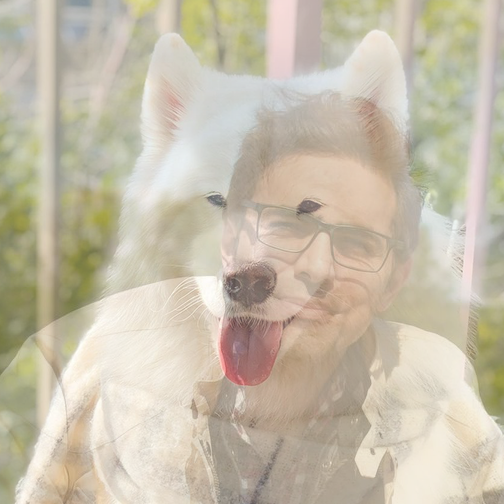 Our Favorite Deep Learning Papers and Talks from ICLR 2021 - Two Sigma
