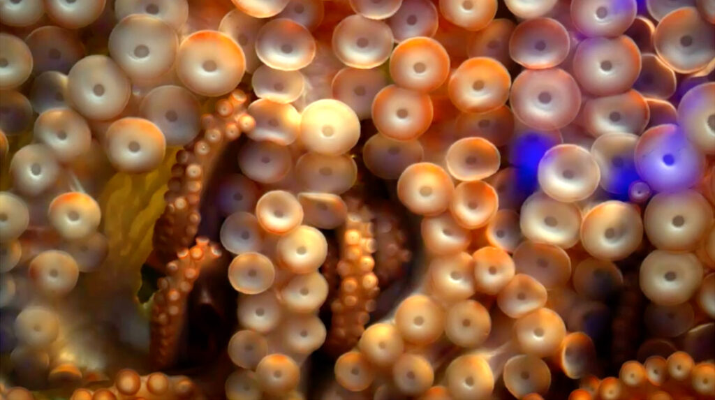 Series: Elevating Your Skills as a Two Sigma Engineer - Two Sigma